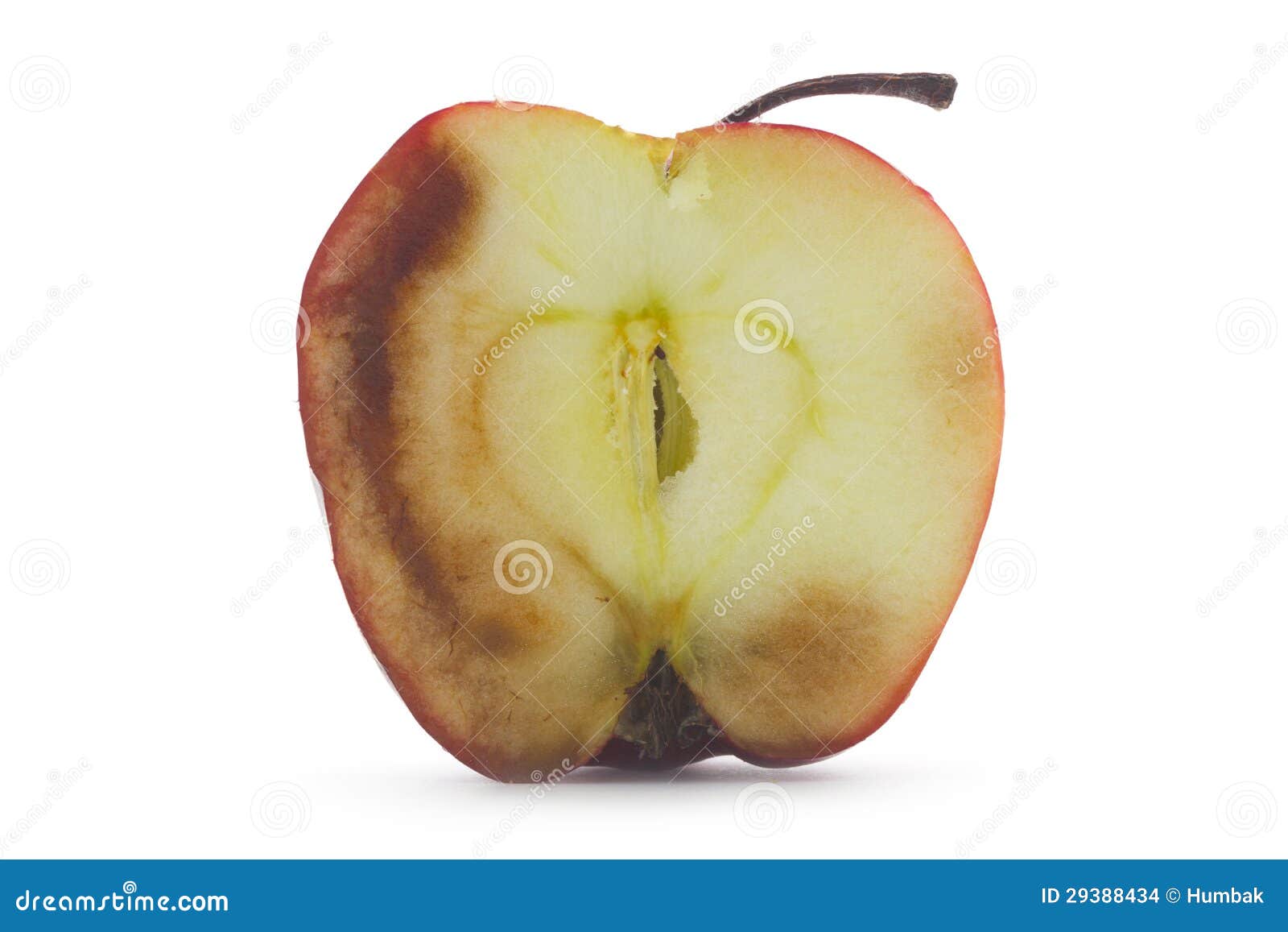 Bederf van appel stock foto. Image of macro, huid, droog - 29388434