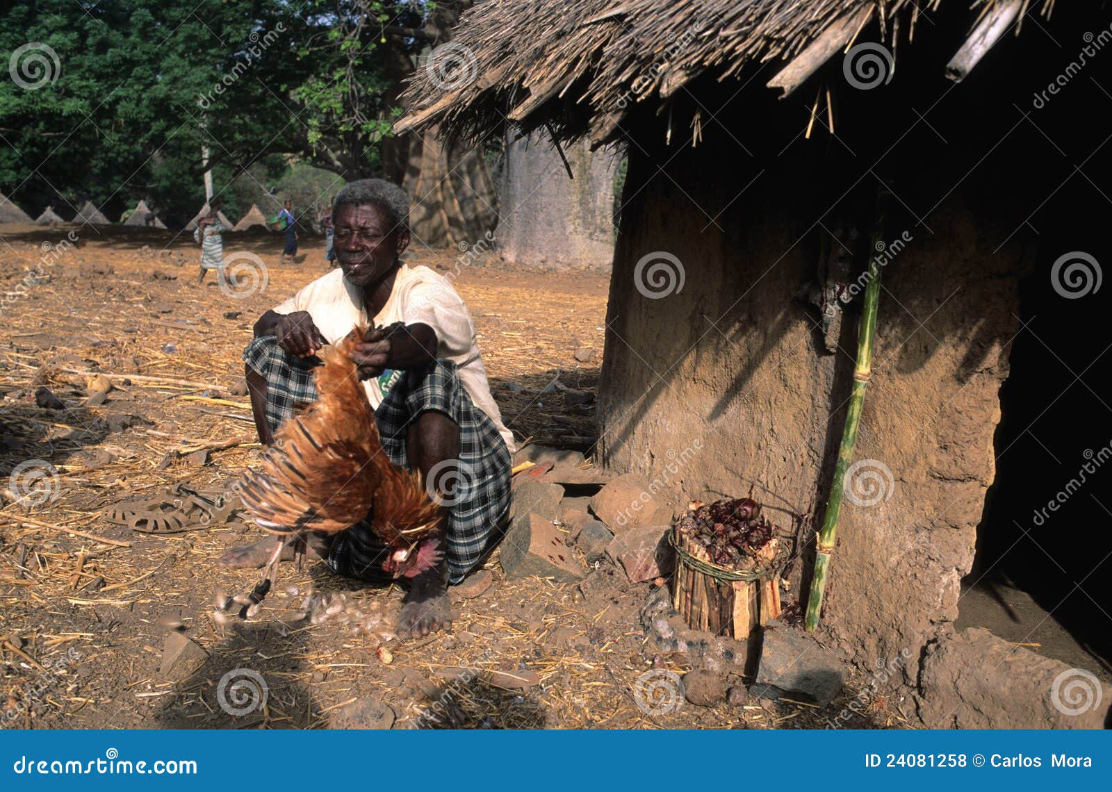 Bediks - Senegal editorial stock photo. Image of african - 24081258