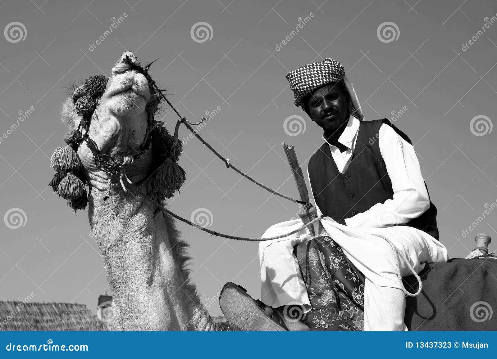 Bedouin editorial stock photo. Image of egyptial, bedouin - 13437323