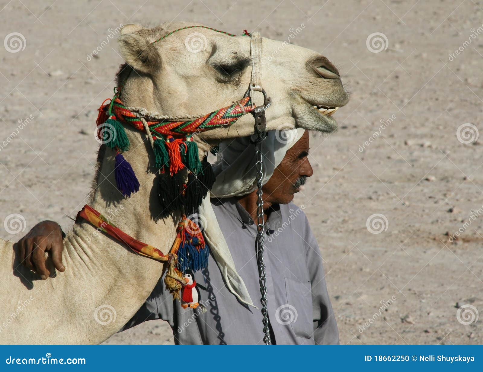 Bedouin editorial image. Image of sahara, ethnicity, bedouin - 18662250