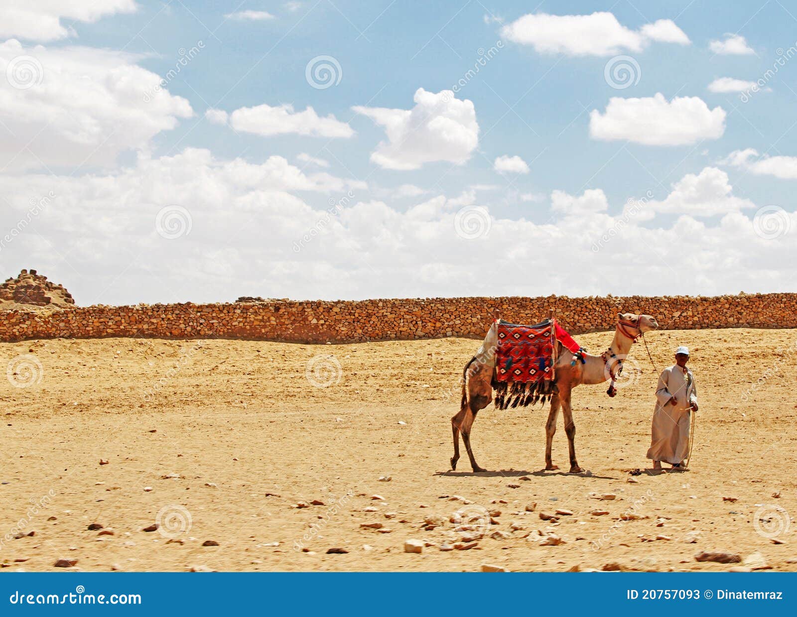 Bedouin editorial stock photo. Image of mammal, history - 20757093