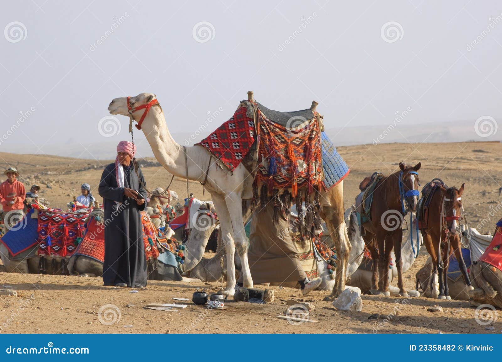 Bedouin and camel editorial photography. Image of egyptian - 23358482