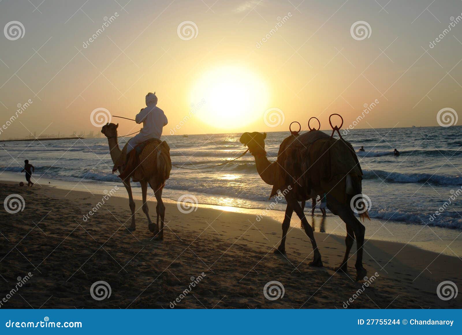 Bedouin on a Camel Riding into the Sunset Stock Photo - Image of tide ...