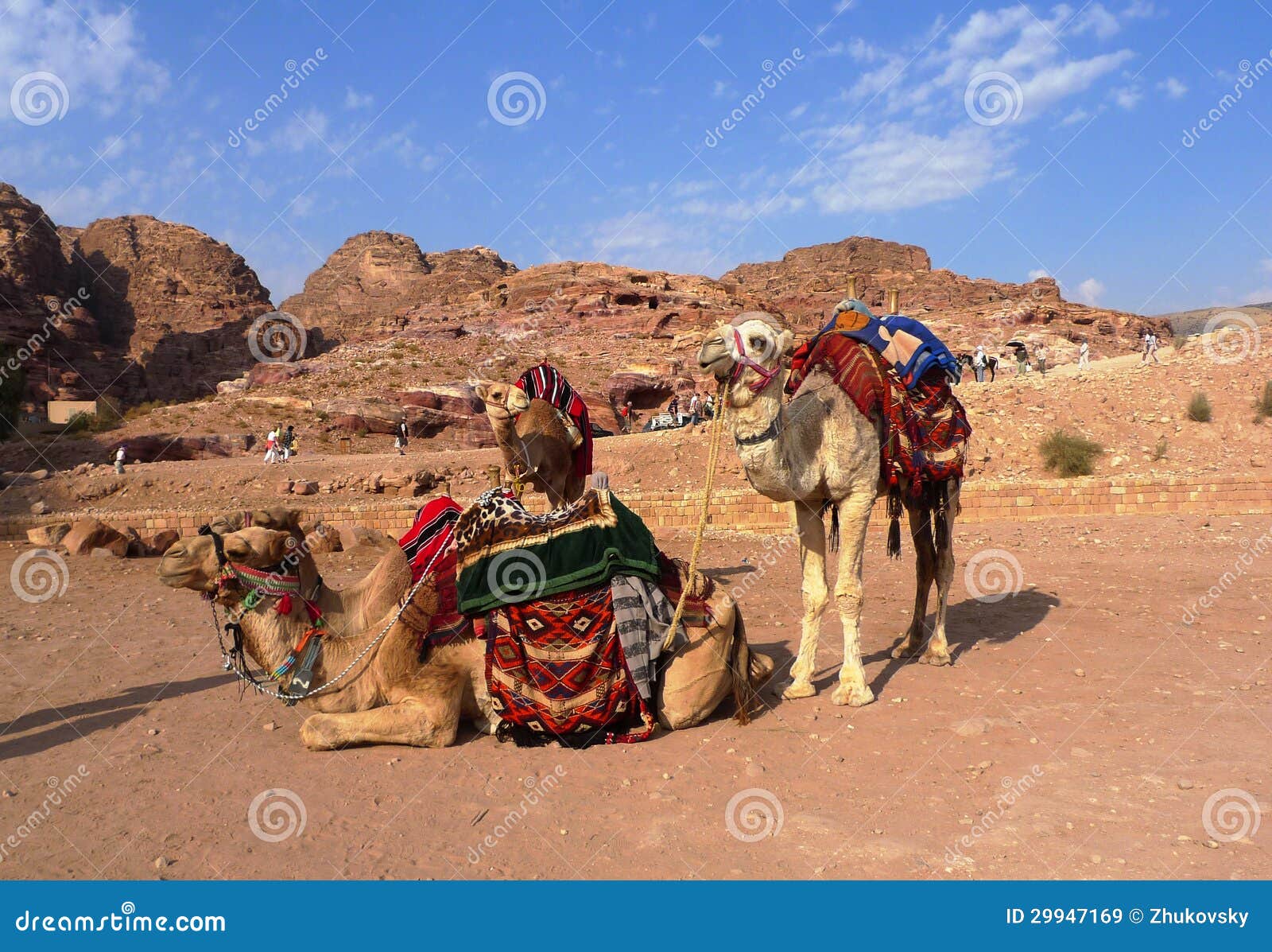 Bedouin Camels in Petra, Jordan Stock Image - Image of nabataeans ...