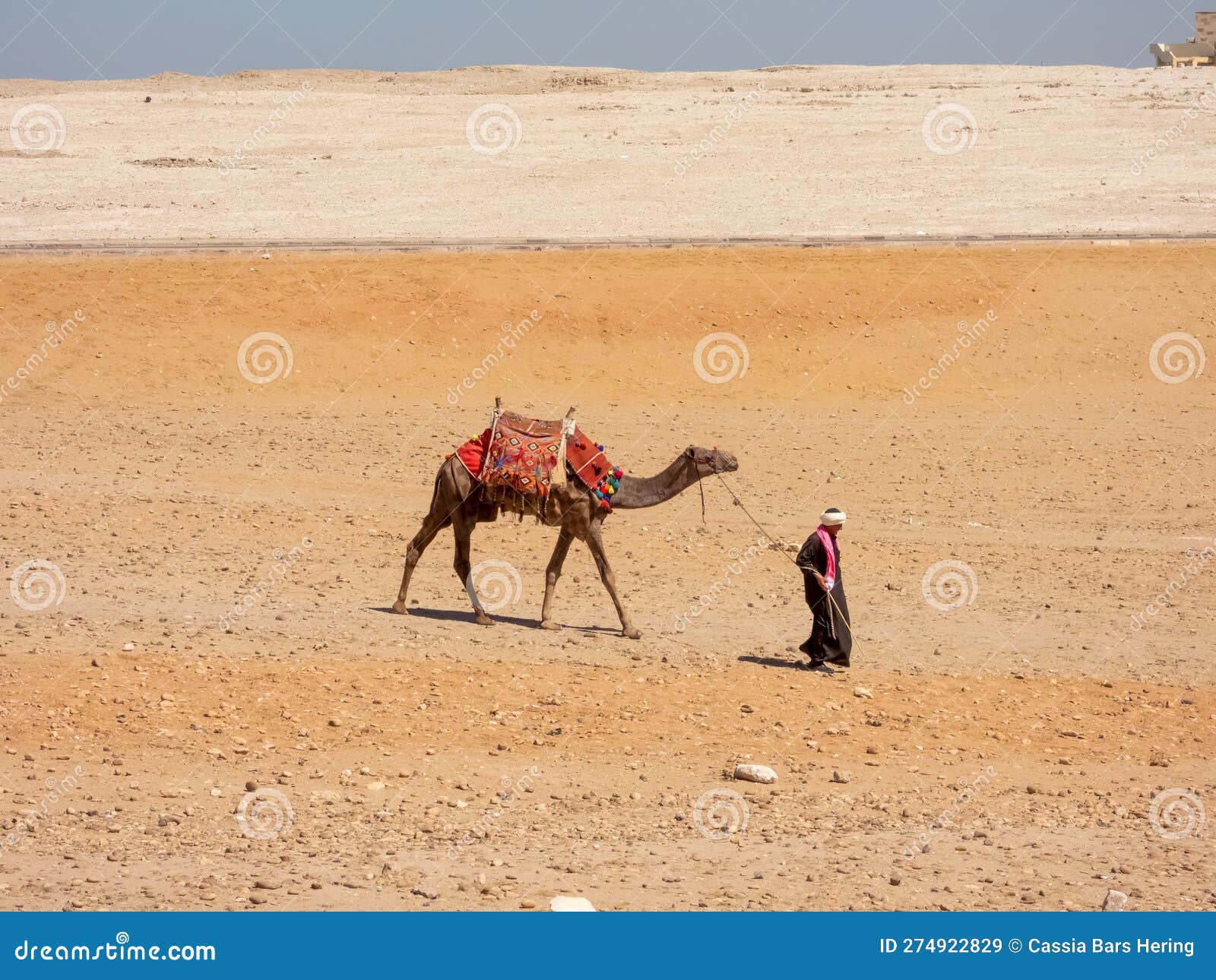 Bedouin Tribes People In The Sinai Desert Editorial Photo ...
