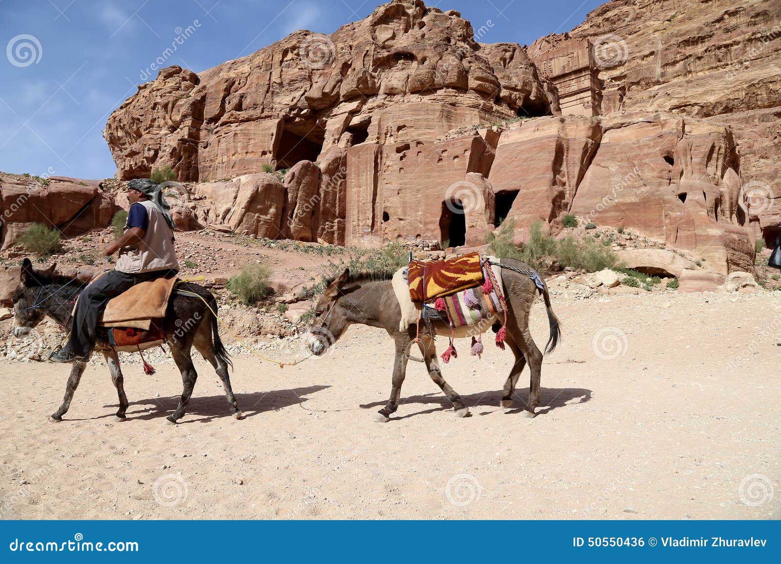 Bedouin Men on Mules in Petra, Jordan Editorial Photo - Image of ...