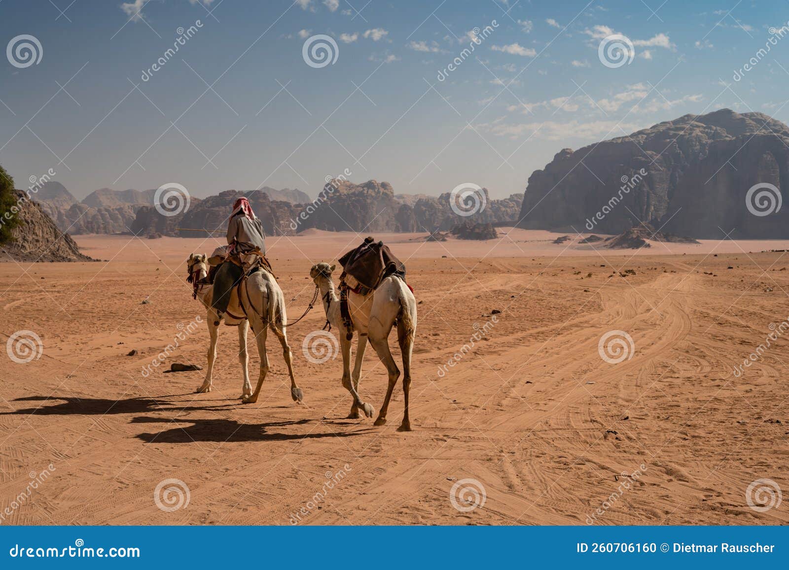 Bedouin Riding a Dromedary Camel in Wadi Rum Stock Photo - Image of ...