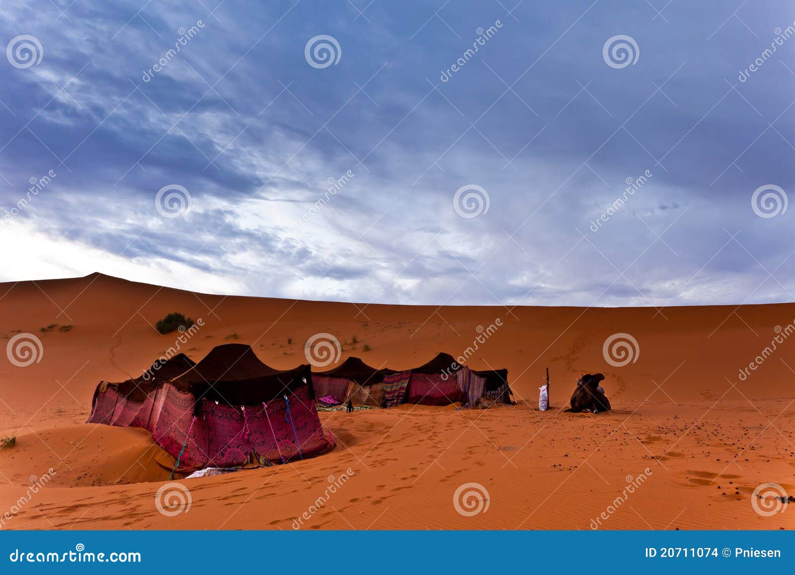 Bedouin Tents in the Sahara Desert Stock Photo - Image of desolate ...