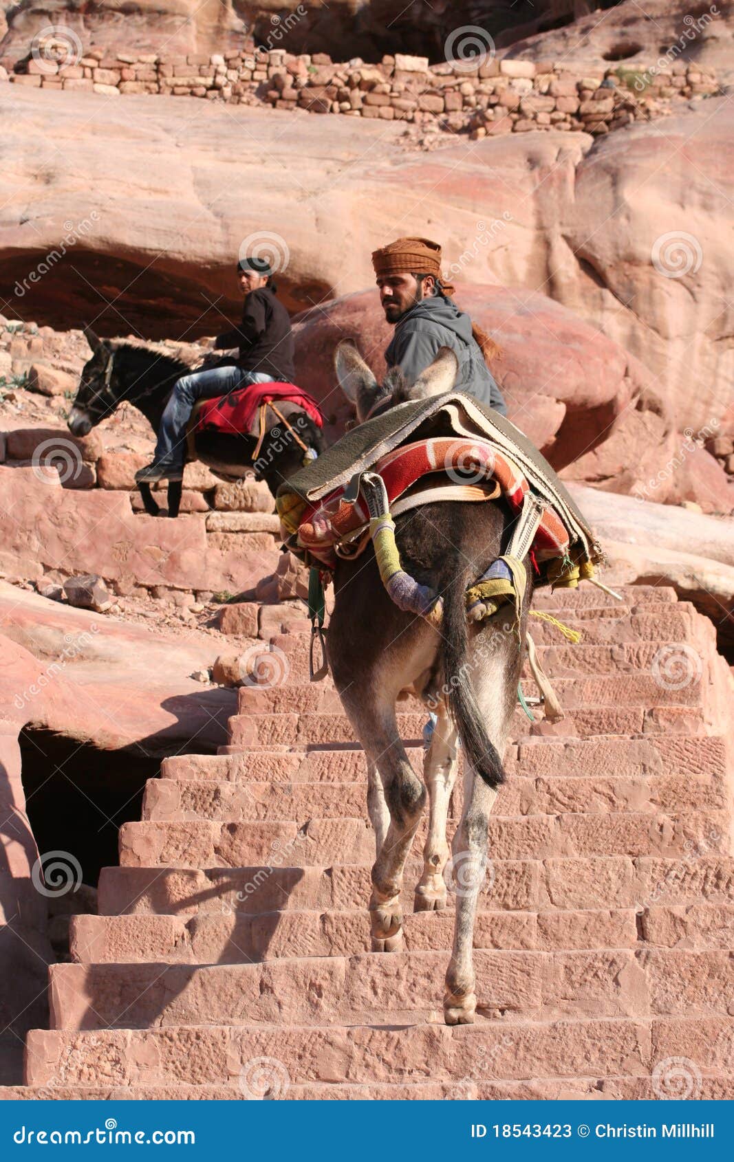 Donkeys Pulling A Carriage Stock Photo | CartoonDealer.com #115518900