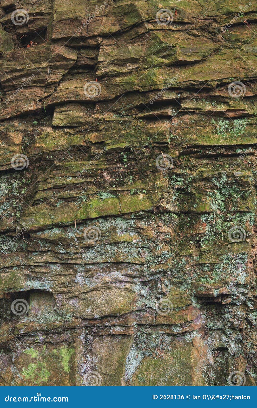 Wall Bedrock Texture