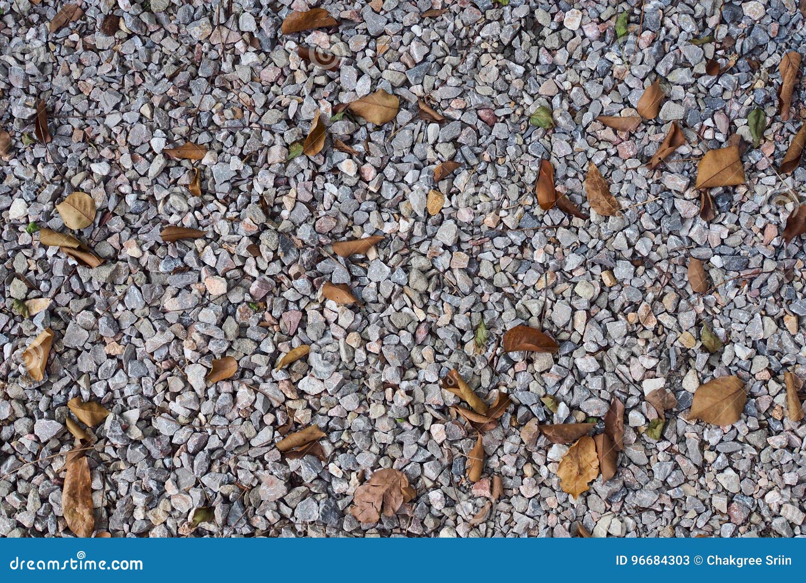 Bedrock Texture Background Stock Image | CartoonDealer.com #63662497