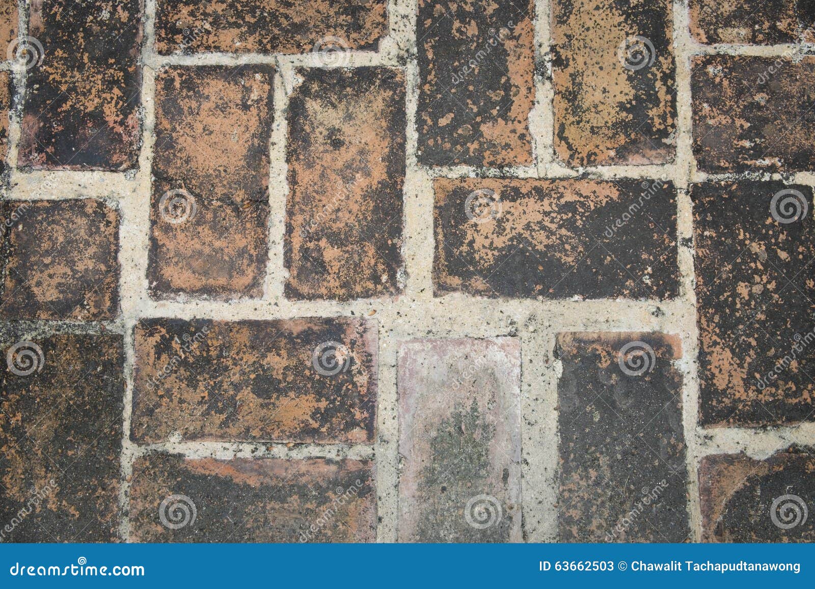 Bedrock Texture Background Stock Photo | CartoonDealer.com #63662503