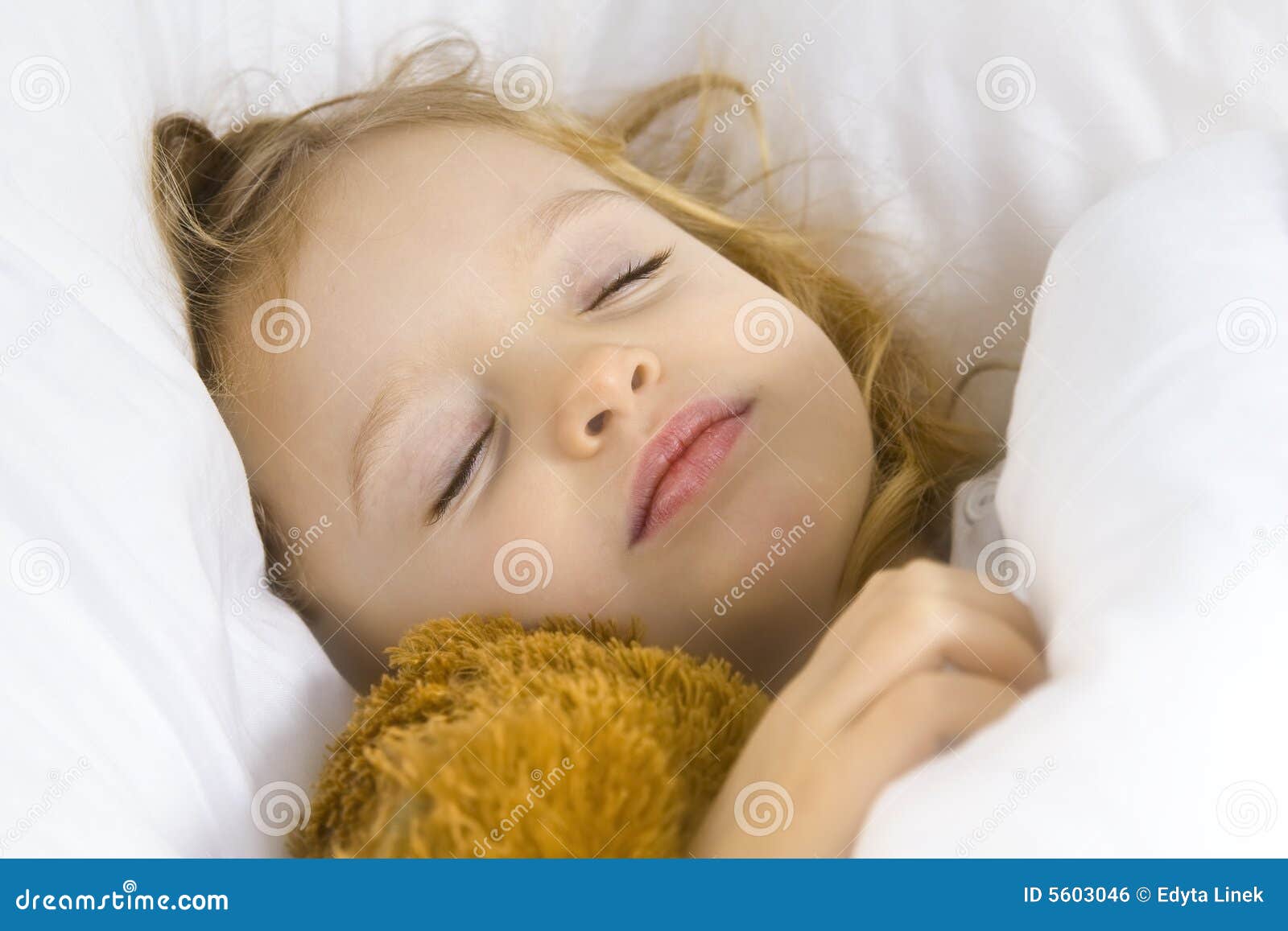 Bedtime stock photo. Image of bear, dreams, bedding, girls - 5603046