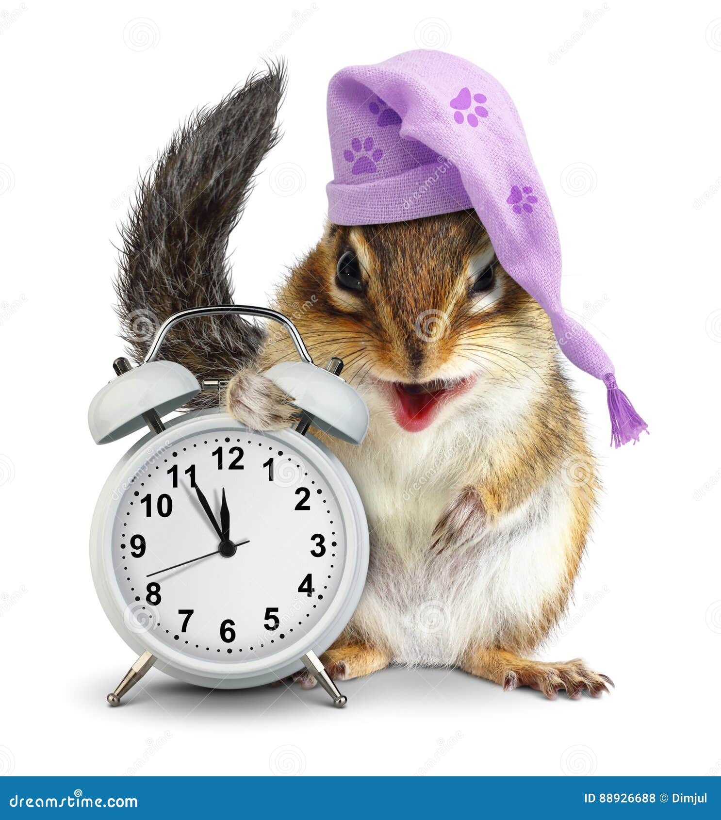 Bedtime Concept, Funny Animal Chipmunk with Clock and Sleeping H Stock ...