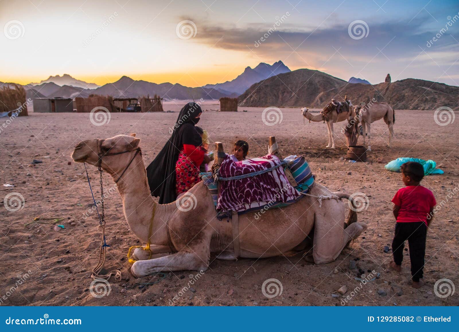 Beduínos em Sahara Desert fotografia editorial. Imagem de nômada ...