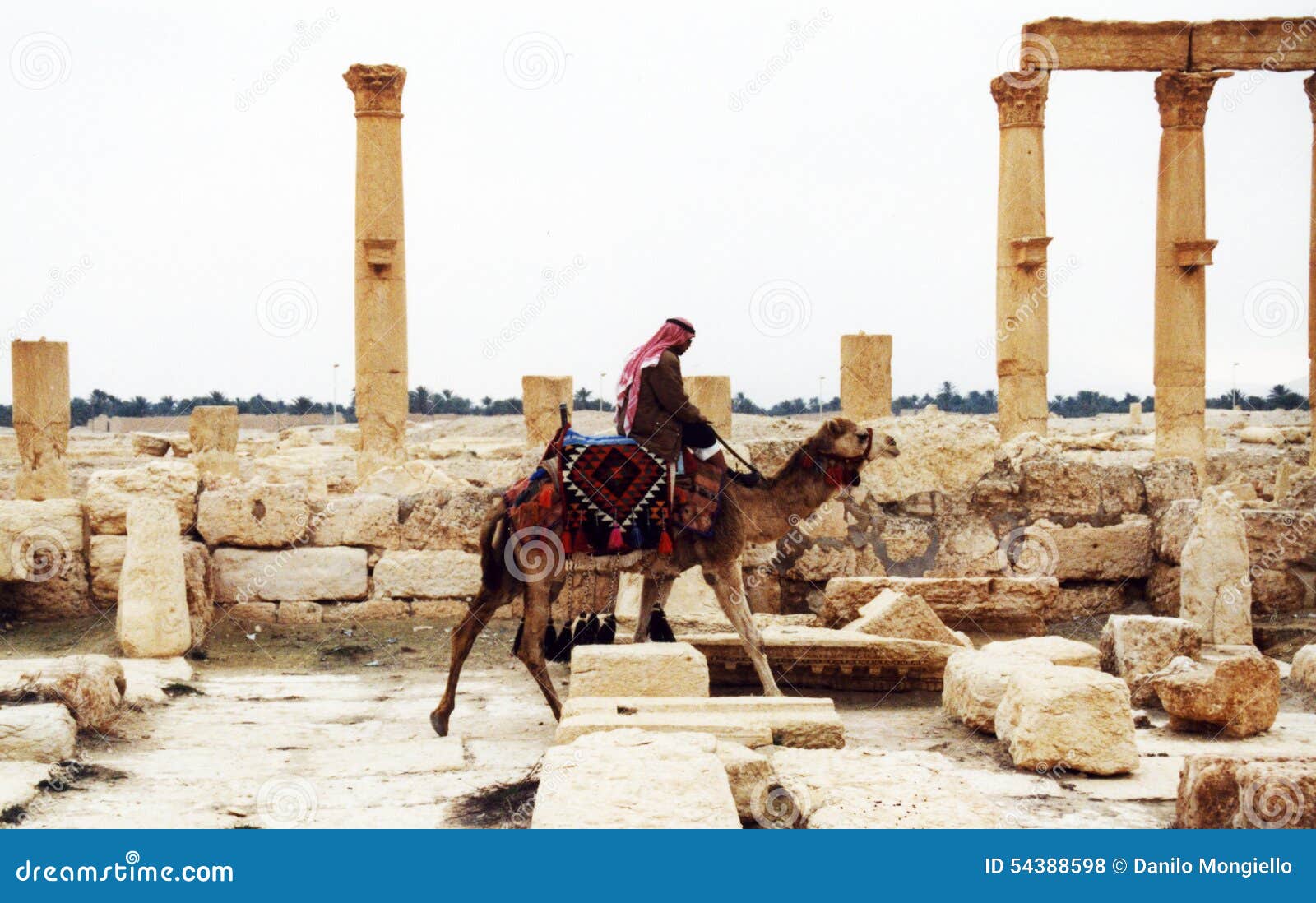 Beduin in palmyra editorial stock photo. Image of asia - 54388598