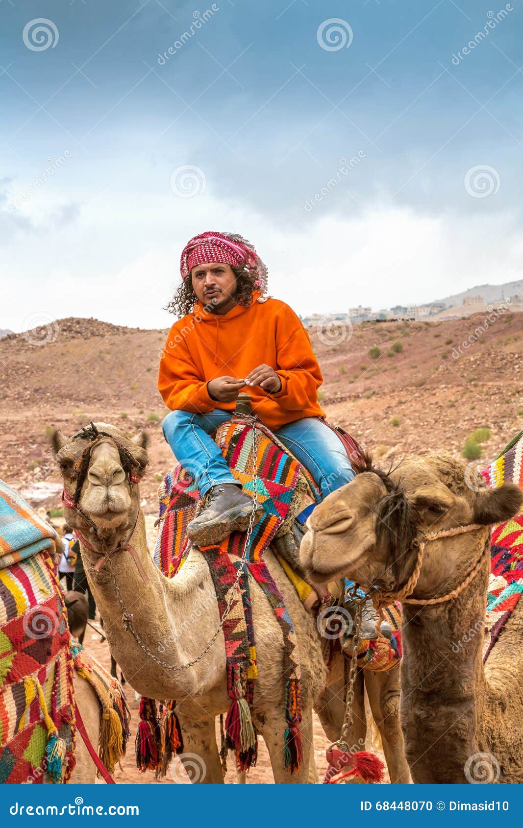 Beduine Auf Kamel, PETRA, Jordanien Redaktionelles Bild - Bild von ...