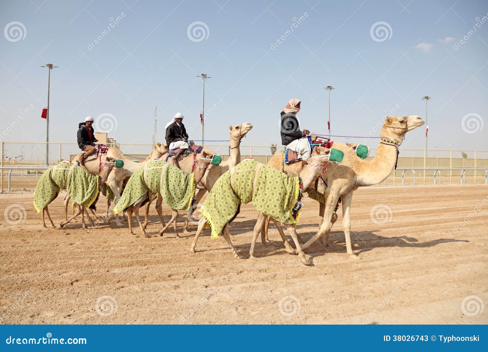 Beduinos Con Sus Camellos Que Compiten Con Foto de archivo editorial ...