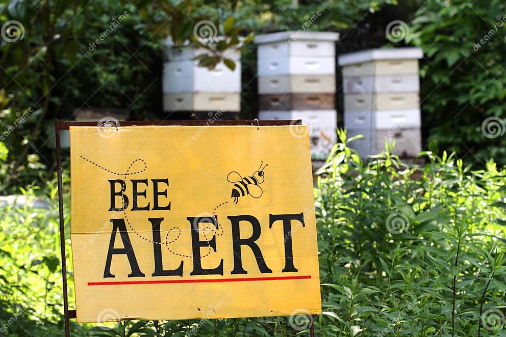 Bee Alert stock image. Image of species, pollen, honey - 5427185