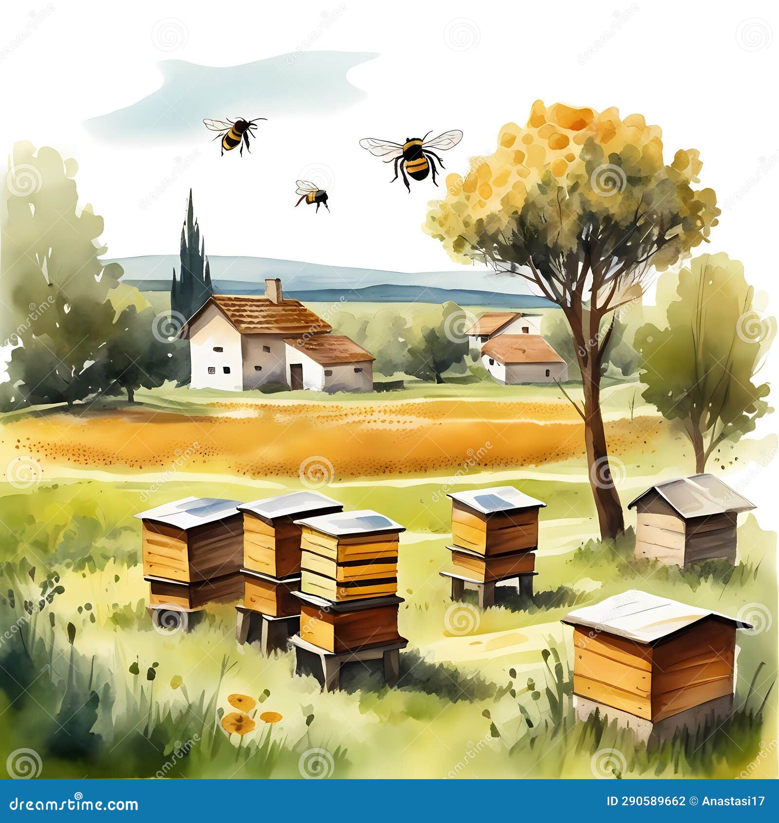 Bee apiary with hive stock illustration. Illustration of village ...
