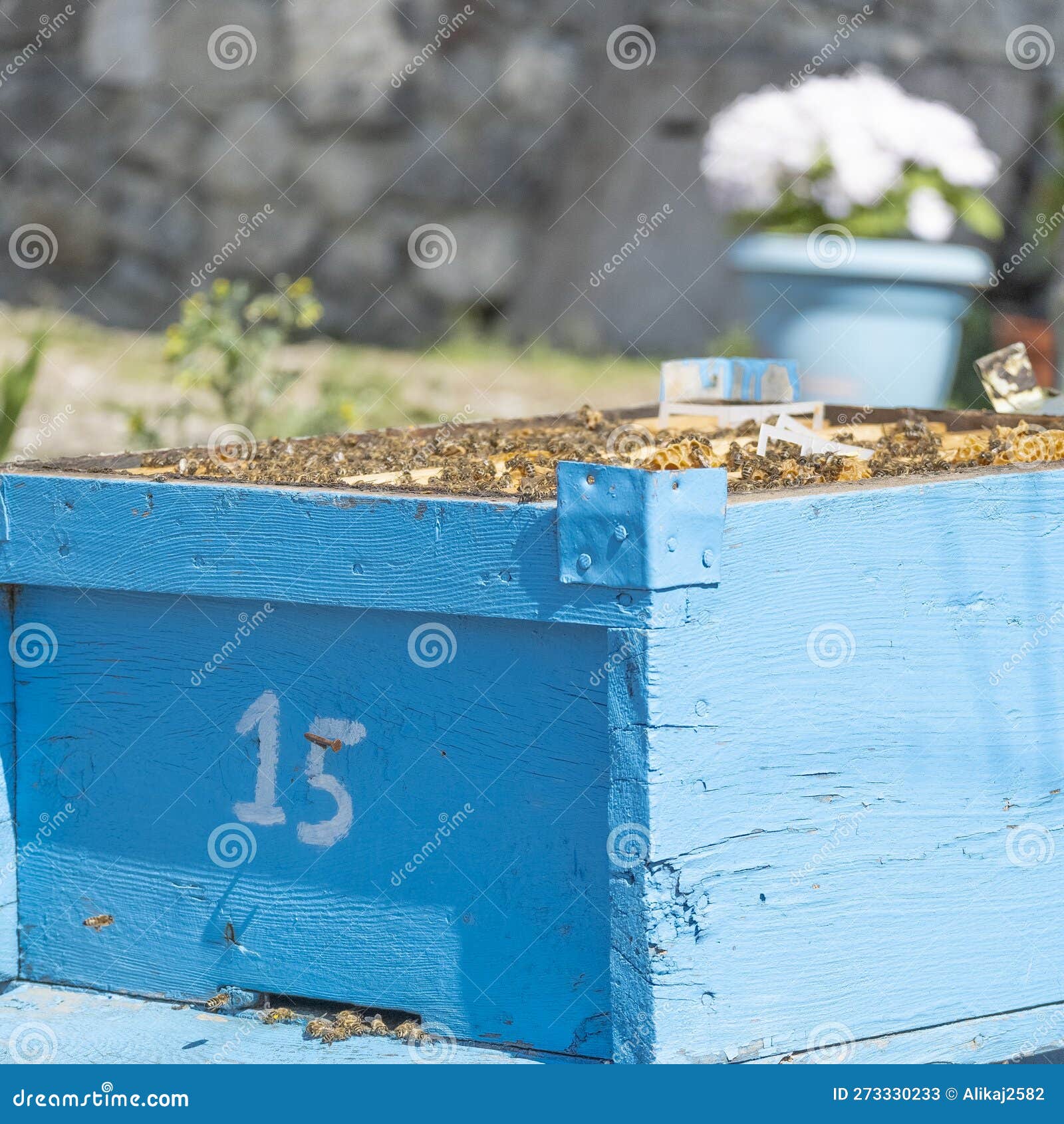 Bee Boxes with Honey Bees, Pollination Concept, Agriculture Stock Image ...