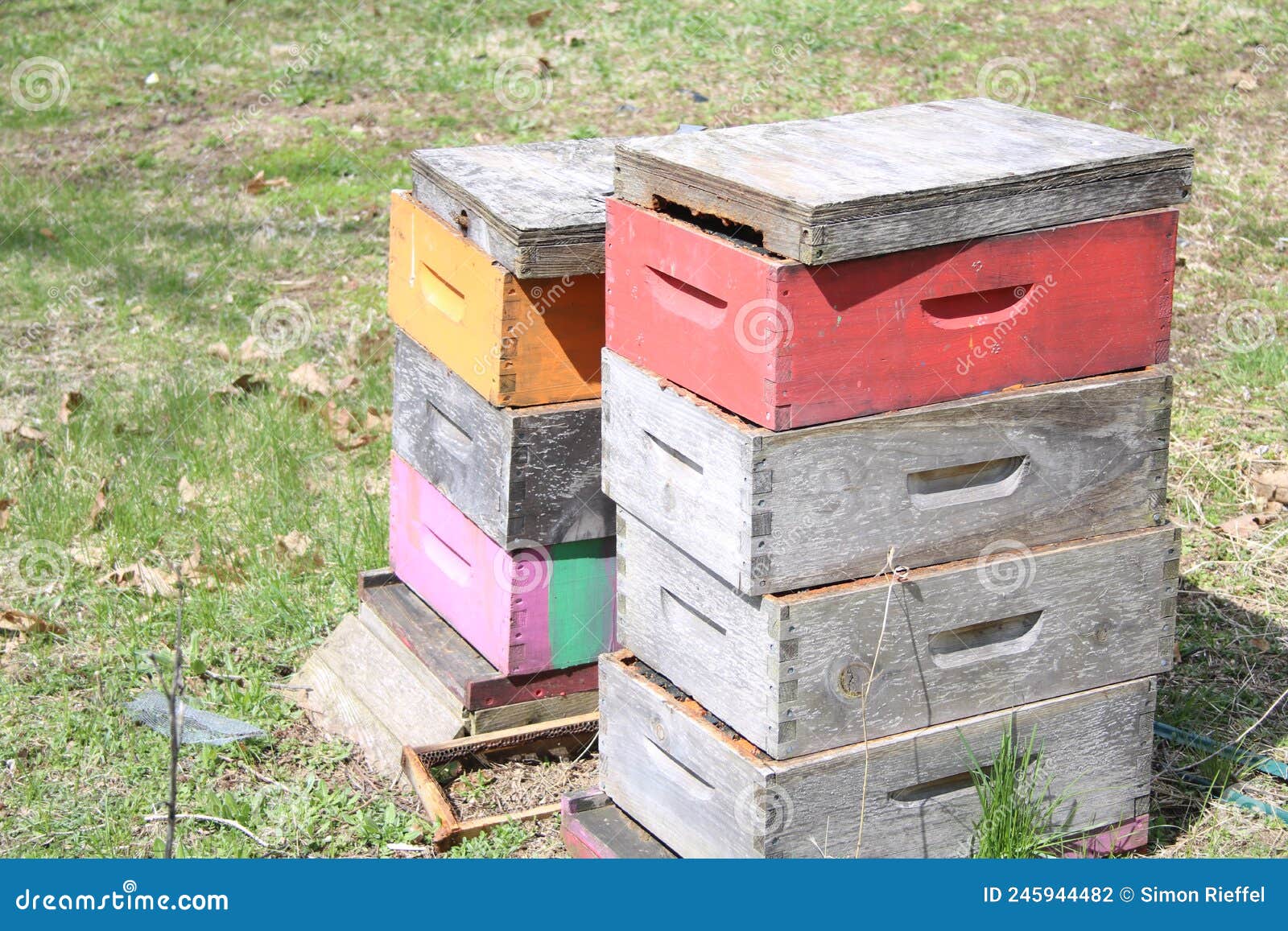 Bee Boxes Stock Photo | CartoonDealer.com #245944482