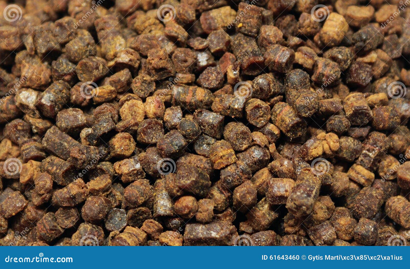 Beebread grains stock photo. Image of sweet, animal, medicine - 61643460