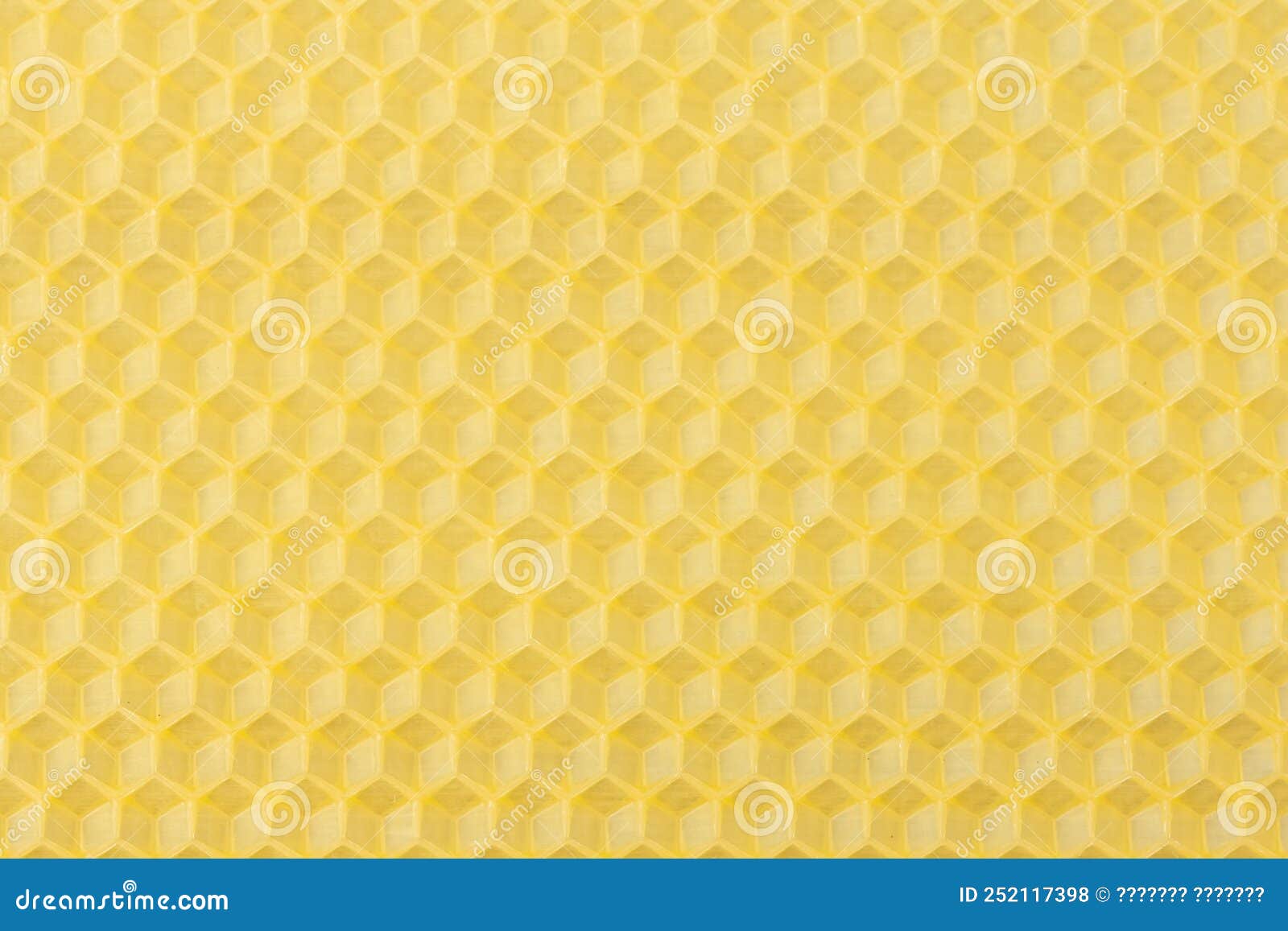 Bee cells for gold honey stock photo. Image of closeup - 252117398