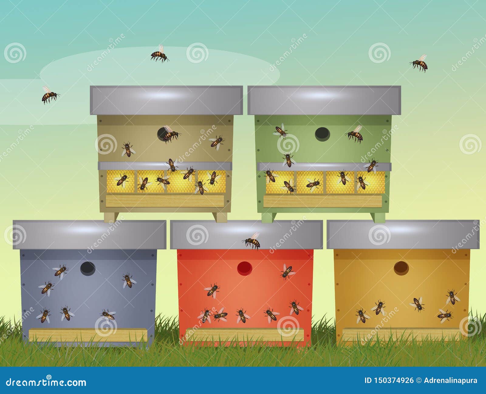 Bee colonies in beehives stock illustration. Illustration of houses ...