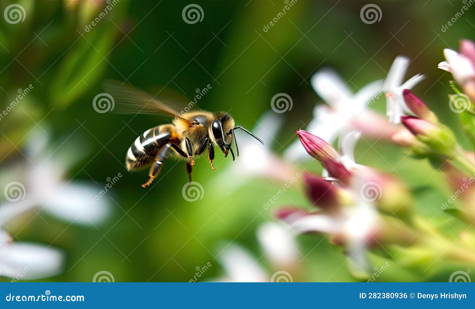 The Bee Darts through Motion-blurred Flowers with Lightning Speed and ...