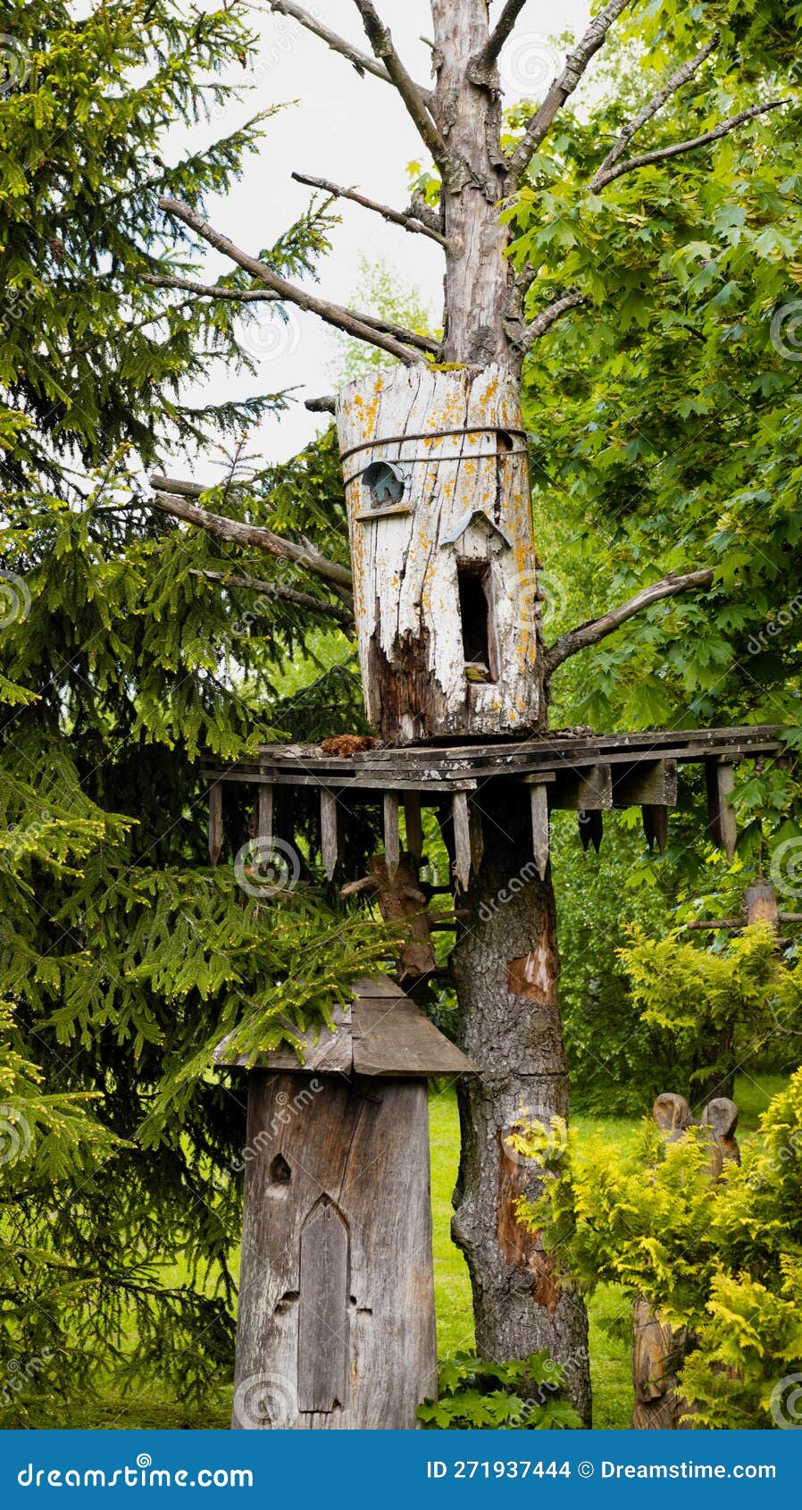 Bee Deck on a Tree in the Forest. the Ancient Method of Beekeeping ...