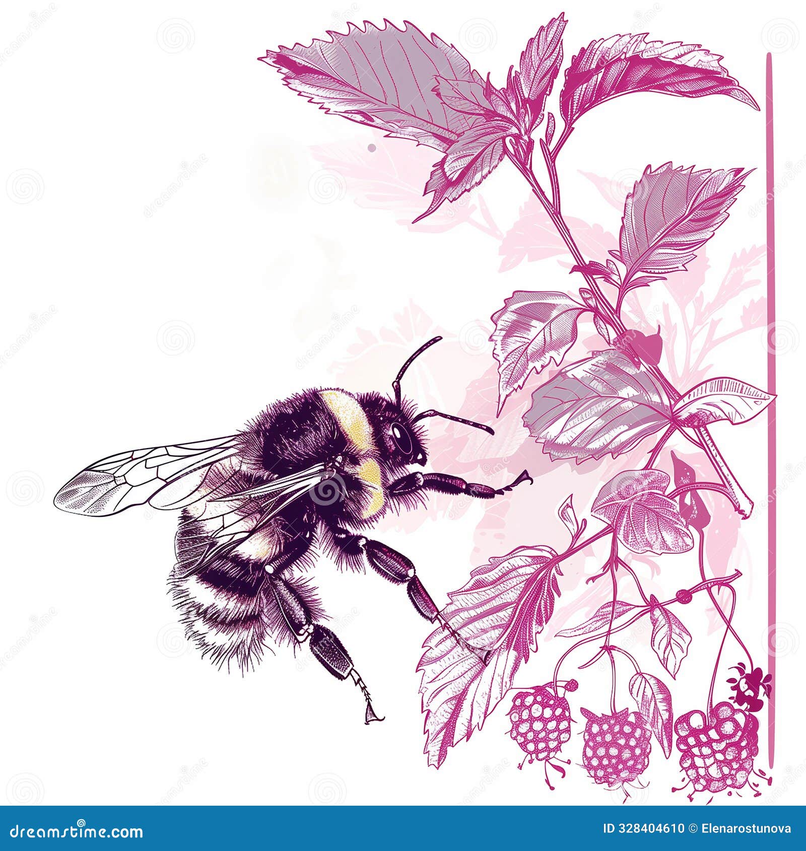 Bee Drawing with Red Pencil on a White Canvas. Graphic. Sketch Stock ...