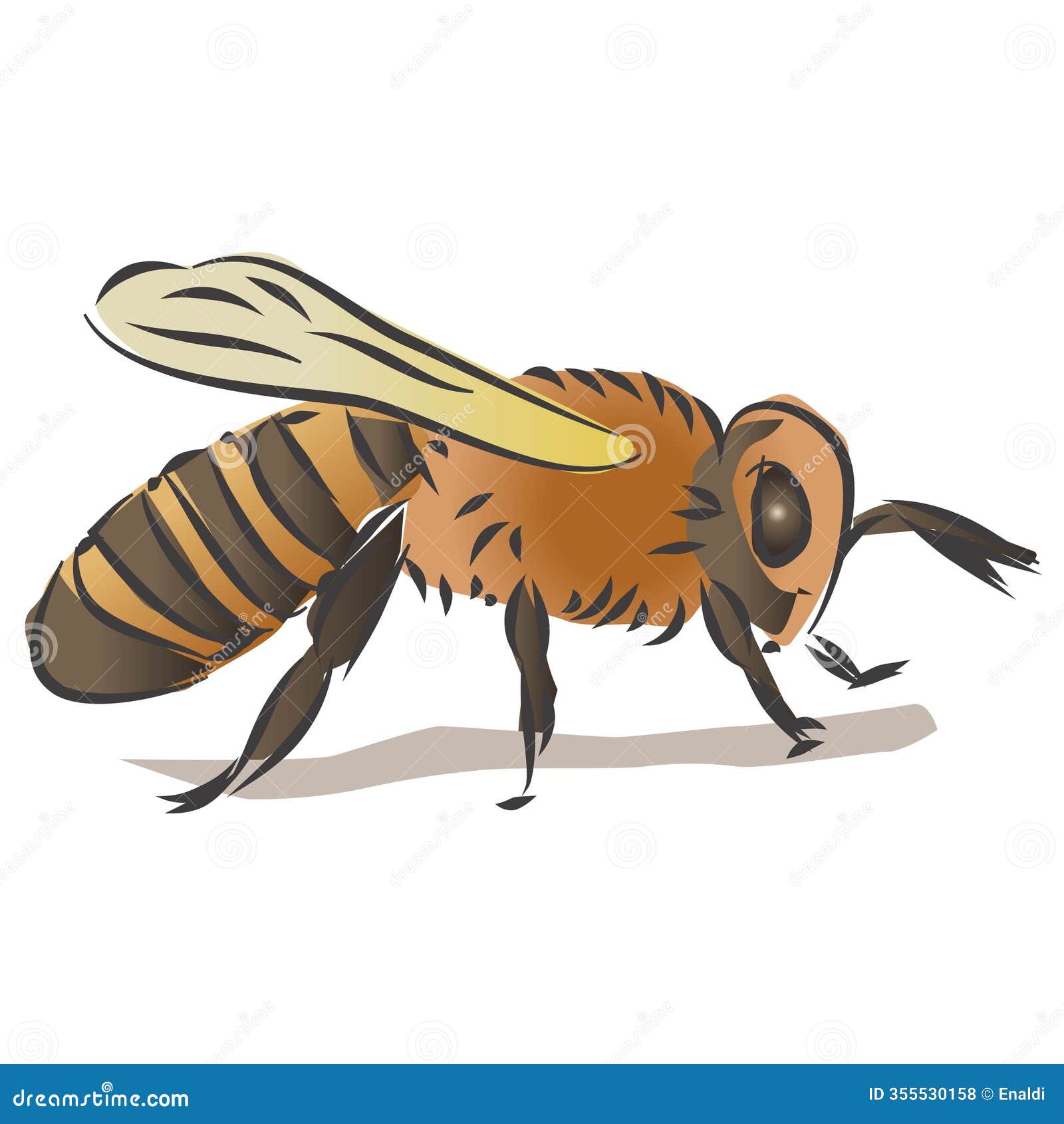 Bee Drawing and Vector Illustration Stock Illustration - Illustration ...
