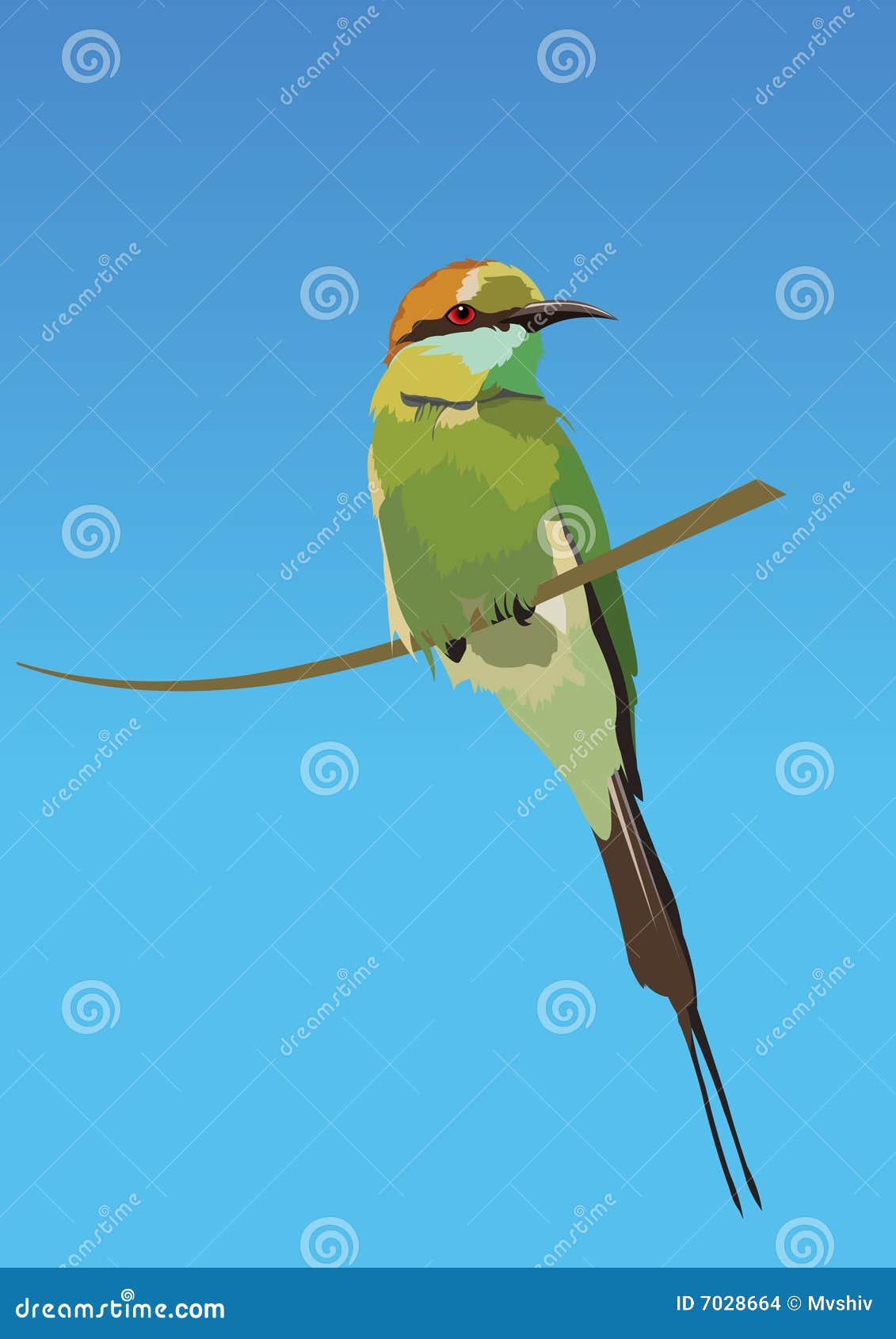 Bee eater stock vector. Illustration of friends, green - 7028664