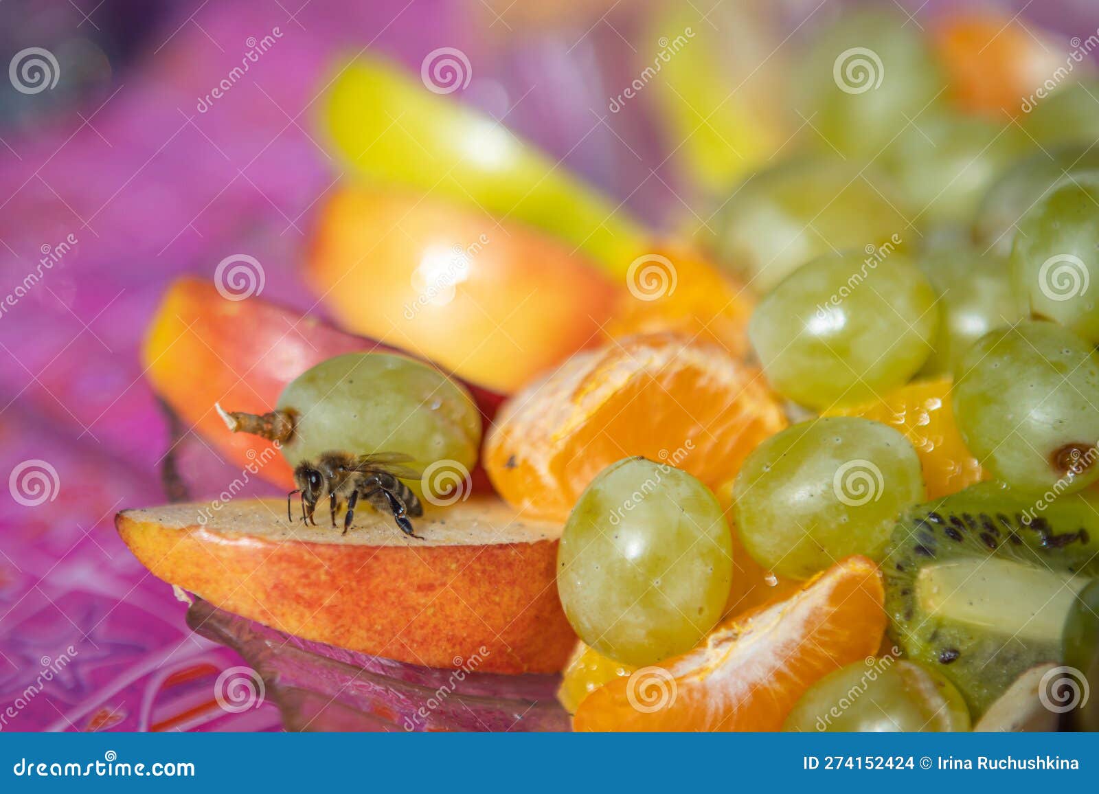 A Bee Eats Juicy Fruits on a Rustic Table, Flooded with Sunny Spring ...