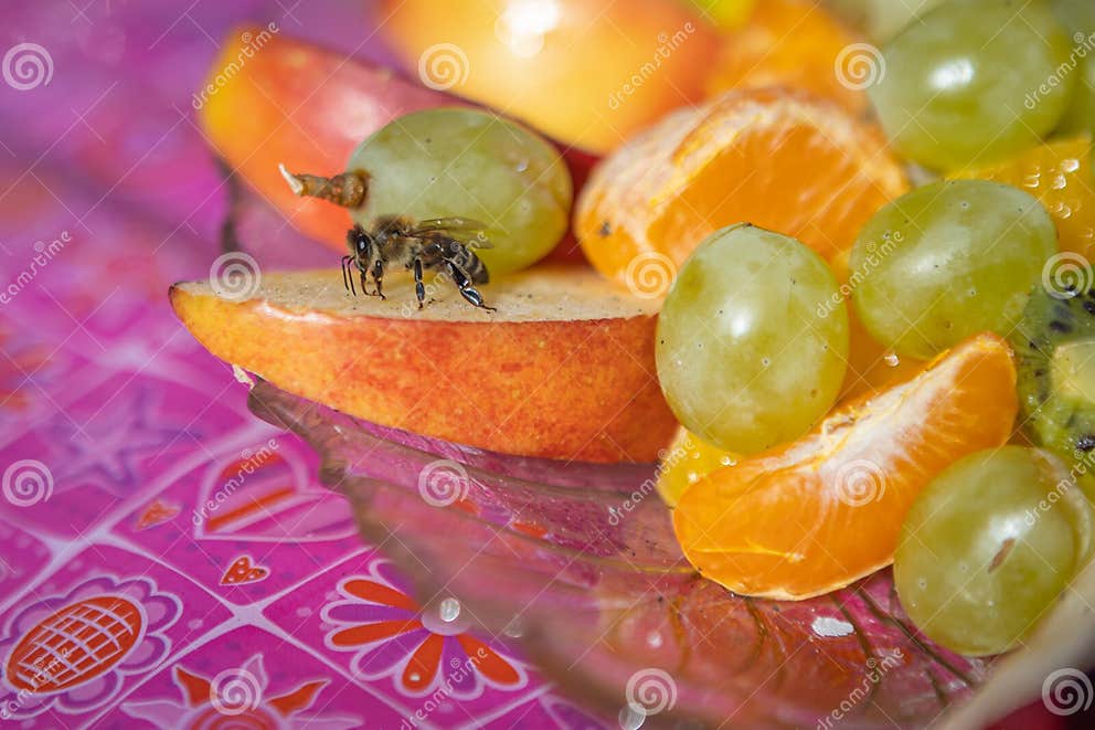 A Bee Eats Juicy Fruits on a Rustic Table, Flooded with Sunny Spring ...
