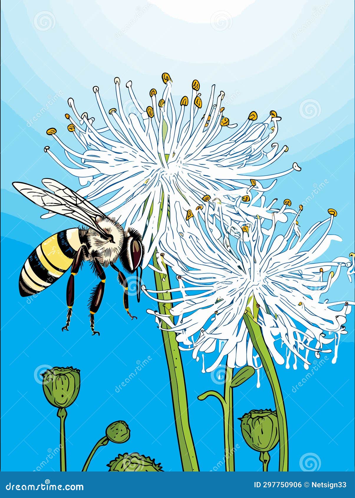 A Bee on a Flower - Honey Bee on a Blue Flower Pollinating Stock Vector ...