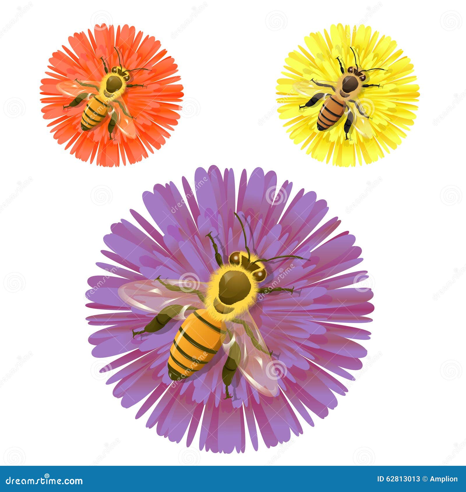 Bee on the flower stock vector. Illustration of bumble - 62813013