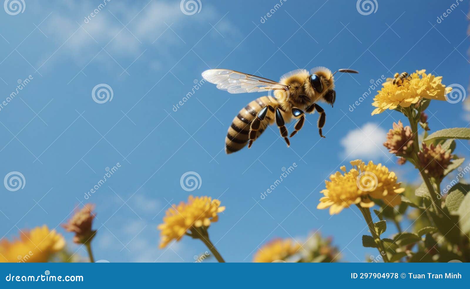 Bee Flying Against Blue Sky Stock Illustration - Illustration of ...
