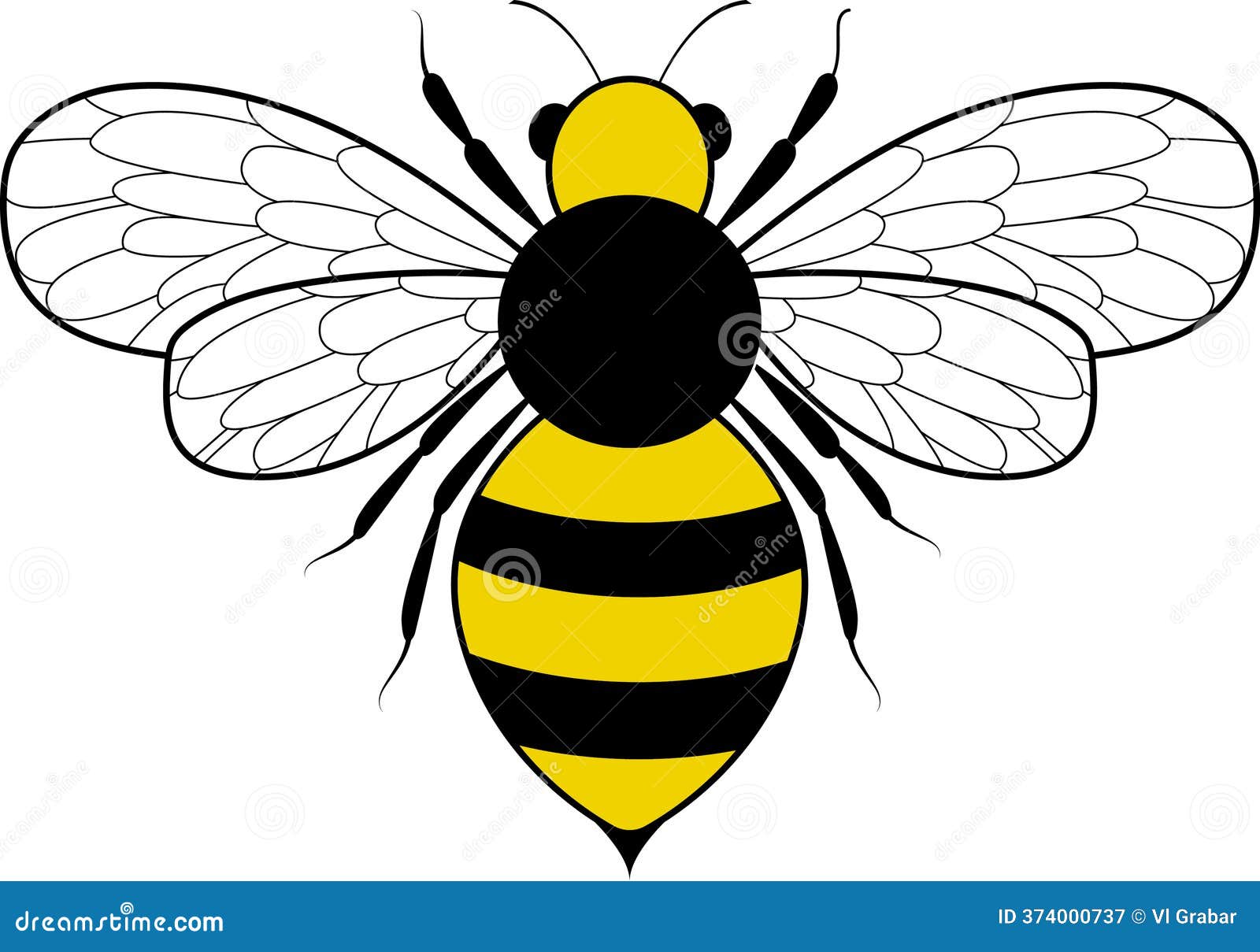 Bee Flying Path. Travel Dotted Route. The Flight Path. Hand Drawn ...