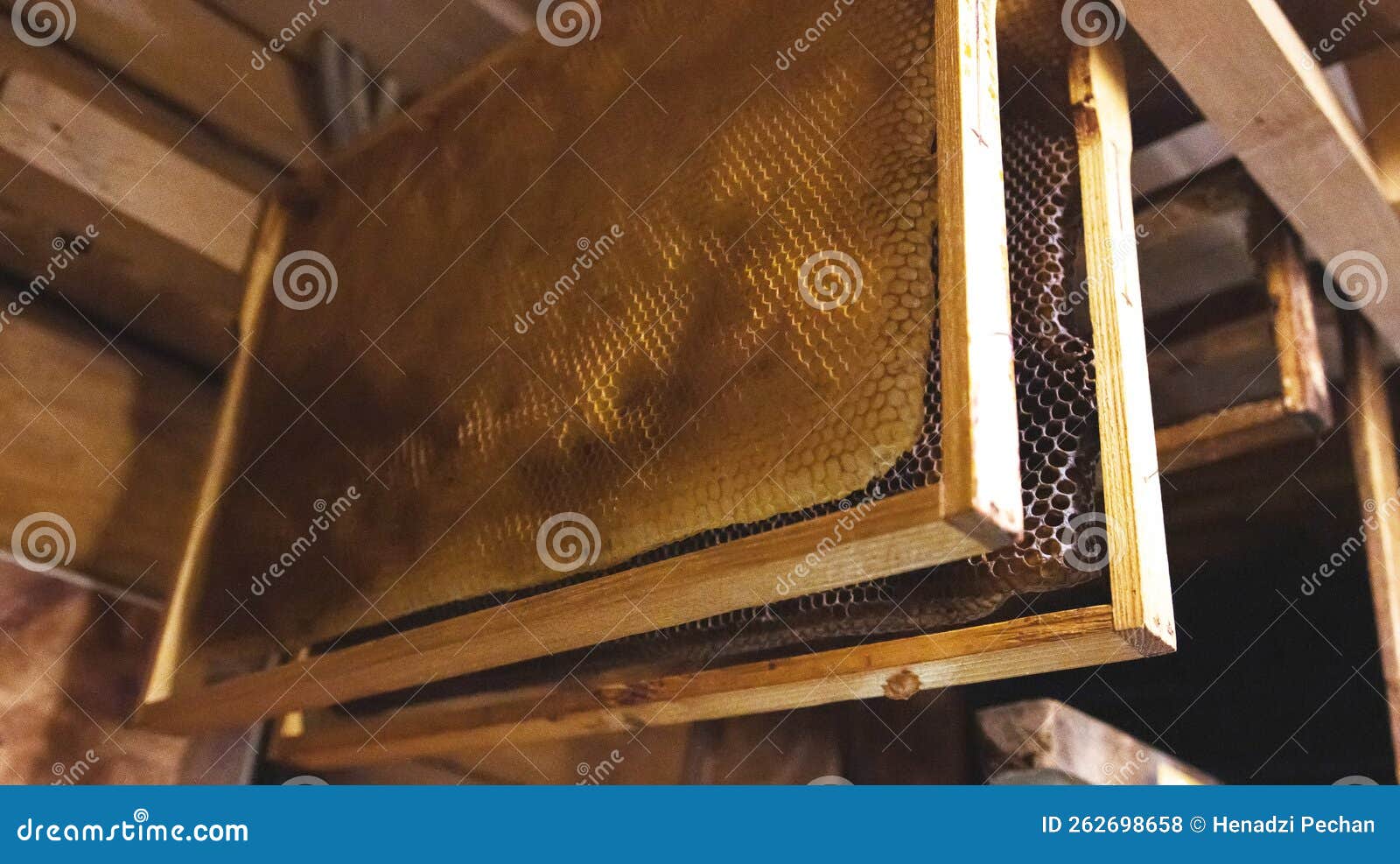 Bee Frames with Sealed Combs and Honey Hang in the Shed. Breeding Bees ...