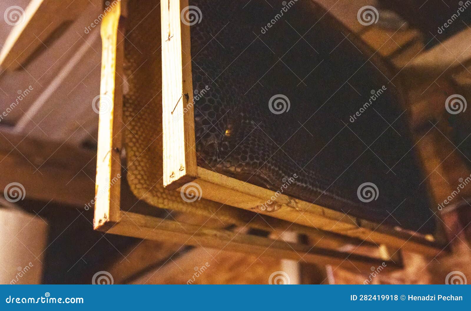 Bee Frames with Sealed Combs and Honey Hang in the Shed. Breeding Bees ...