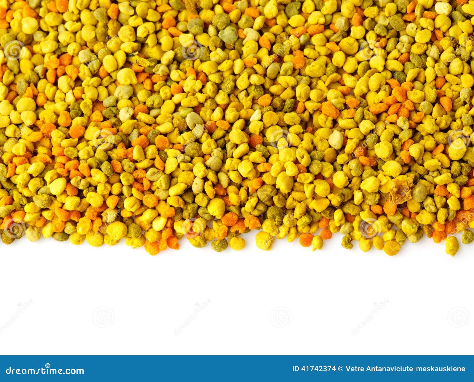 Bee Gathered Pollen Granules Stock Photo - Image of pollen, color: 41742374