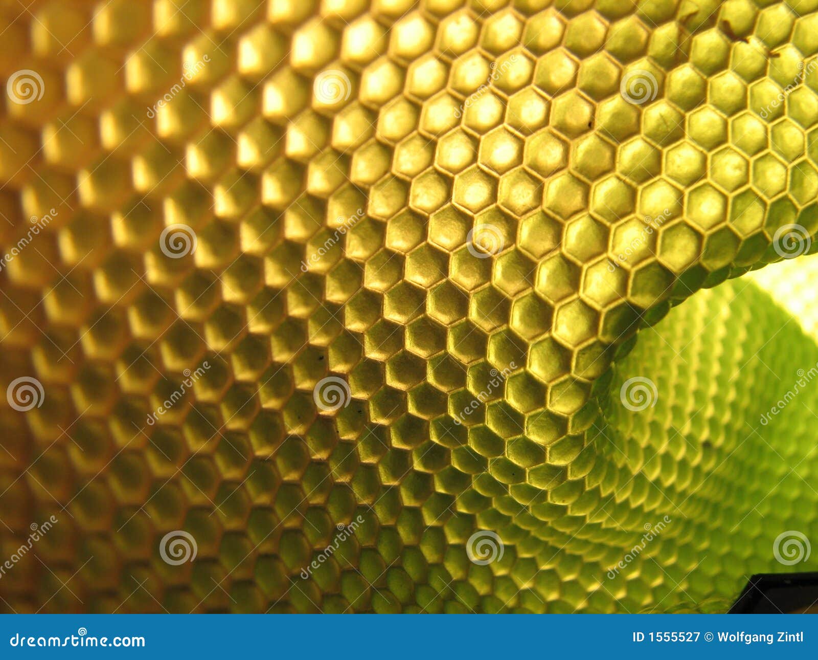 Bee hive stock image. Image of nature, yellow, hive, detail - 1555527