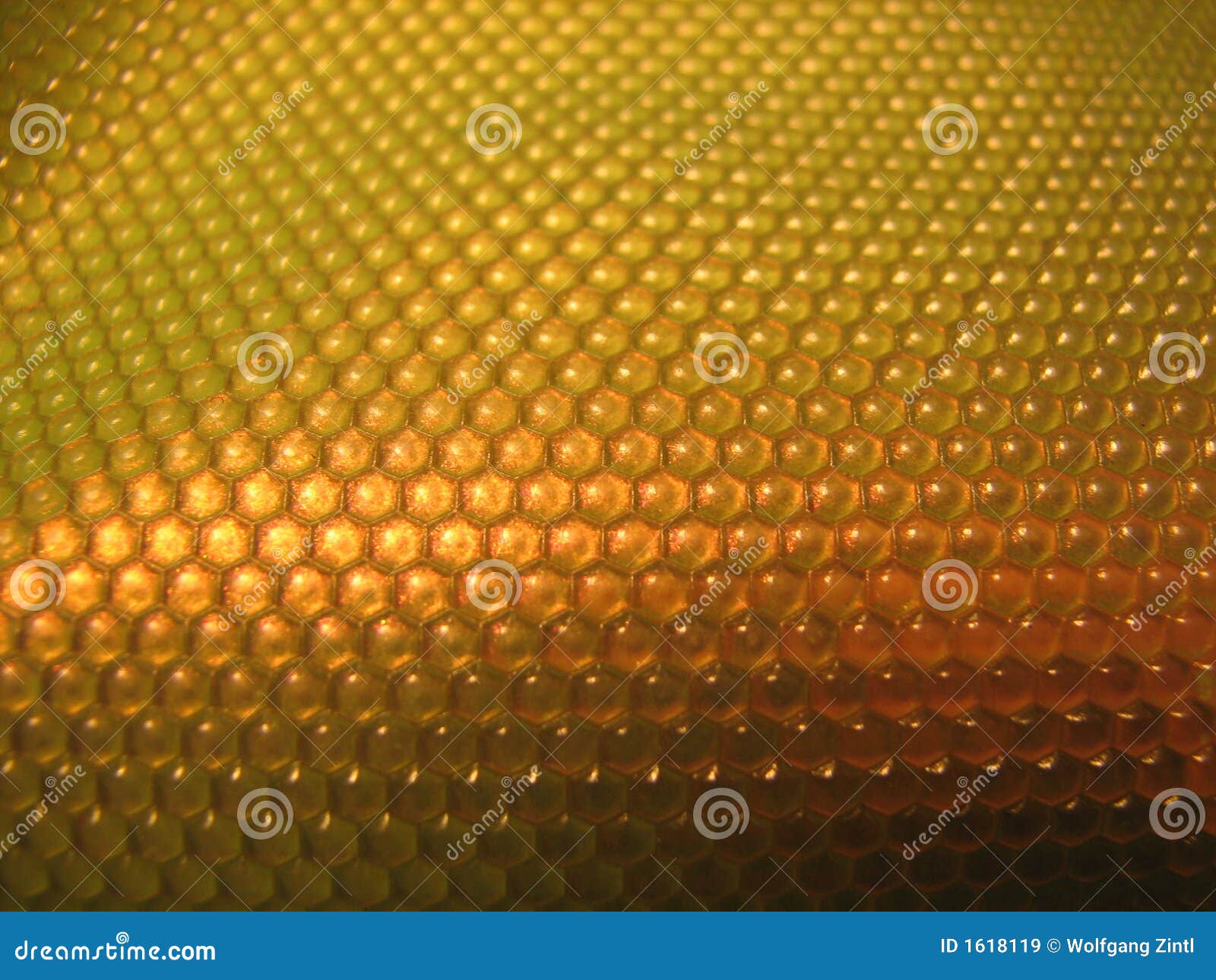 Bee hive stock image. Image of yellow, macro, insect, hive - 1618119