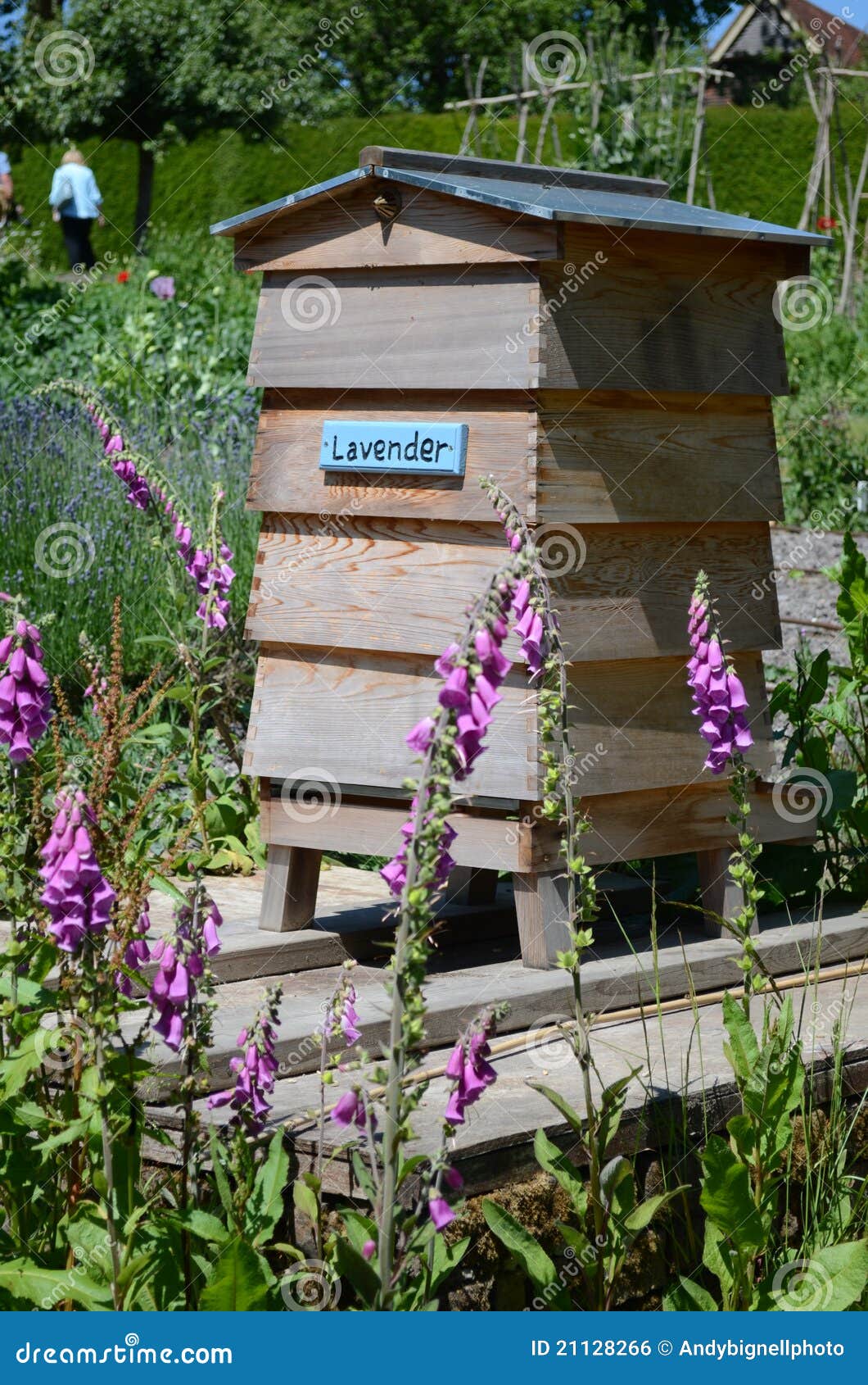 Bee hive stock photo. Image of hive, honey, garden, colony - 21128266