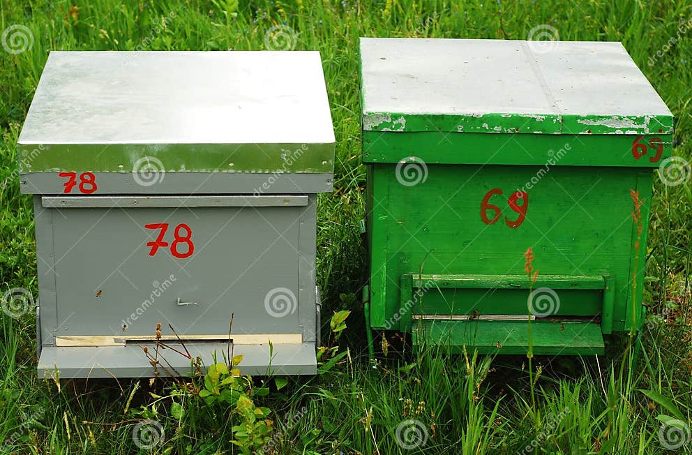 Bee hive stock image. Image of crate, hive, beehive, grass - 23773899