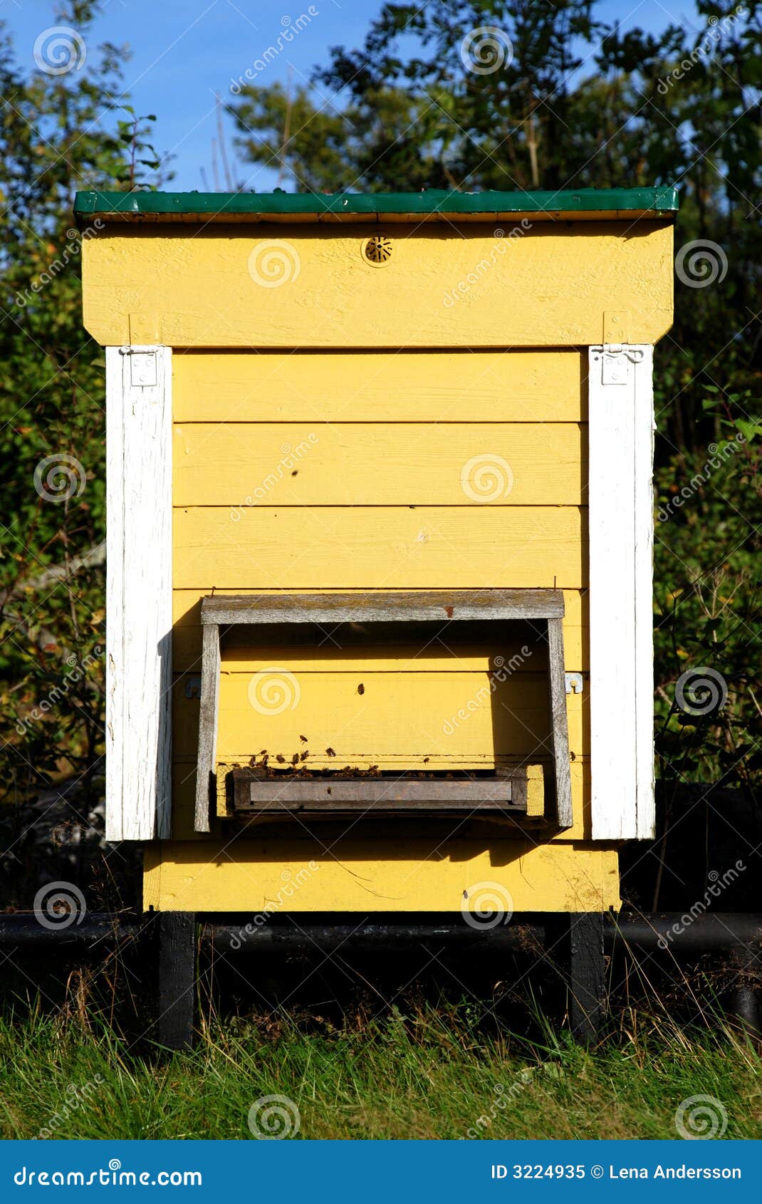 Bee Hive stock image. Image of beekeeping, insect, beehive - 3224935