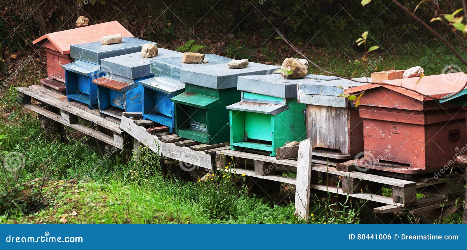 Bee hive. stock photo. Image of meadow, rural, forest - 80441006