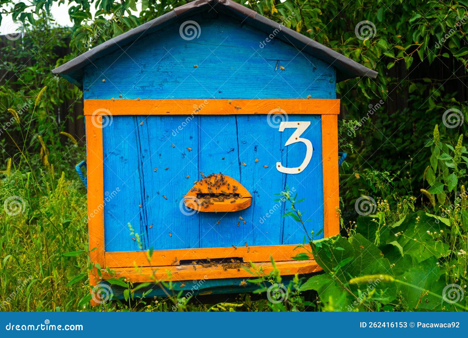 Bee Hive Frame Blue Yellow Color in Green Garden Stock Image - Image of ...